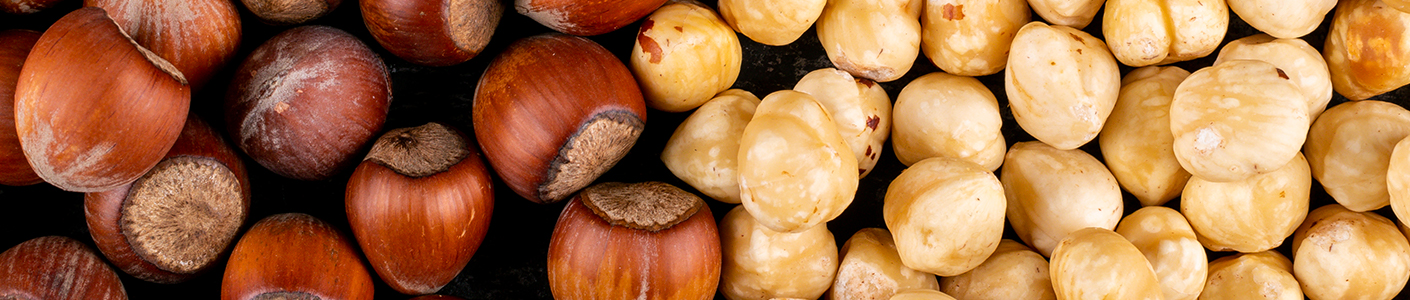 What is Piedmont Hazelnut? - Venchi