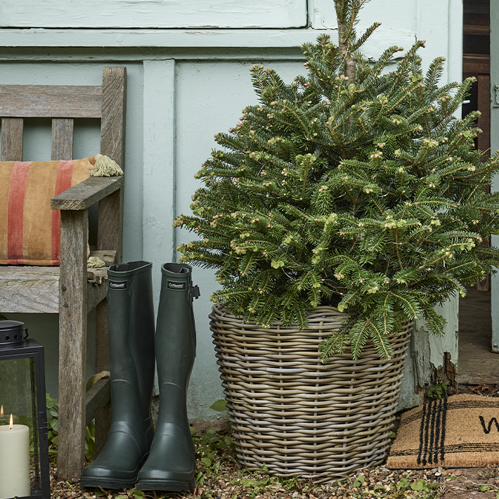 Dobbies Garden Centres | Dobbies Garden Centres