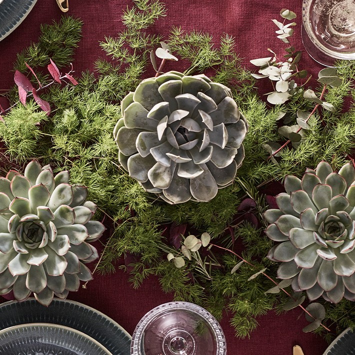 Dobbies Garden Centres | Dobbies Garden Centres