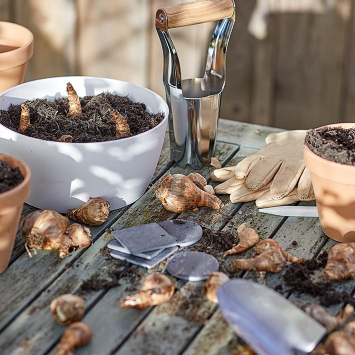 Garden Sundials Dobbies | Fasci Garden