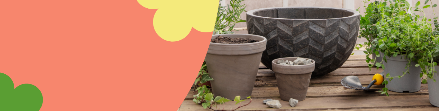 Gardening and Landscaping Tools, Accessories, Plant Care and Pots ...