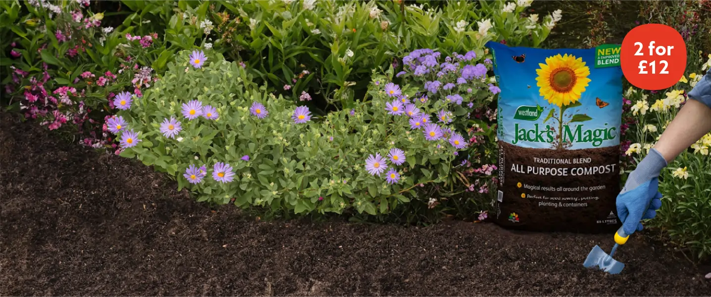 Dobbies Garden Centres | Dobbies Garden Centres