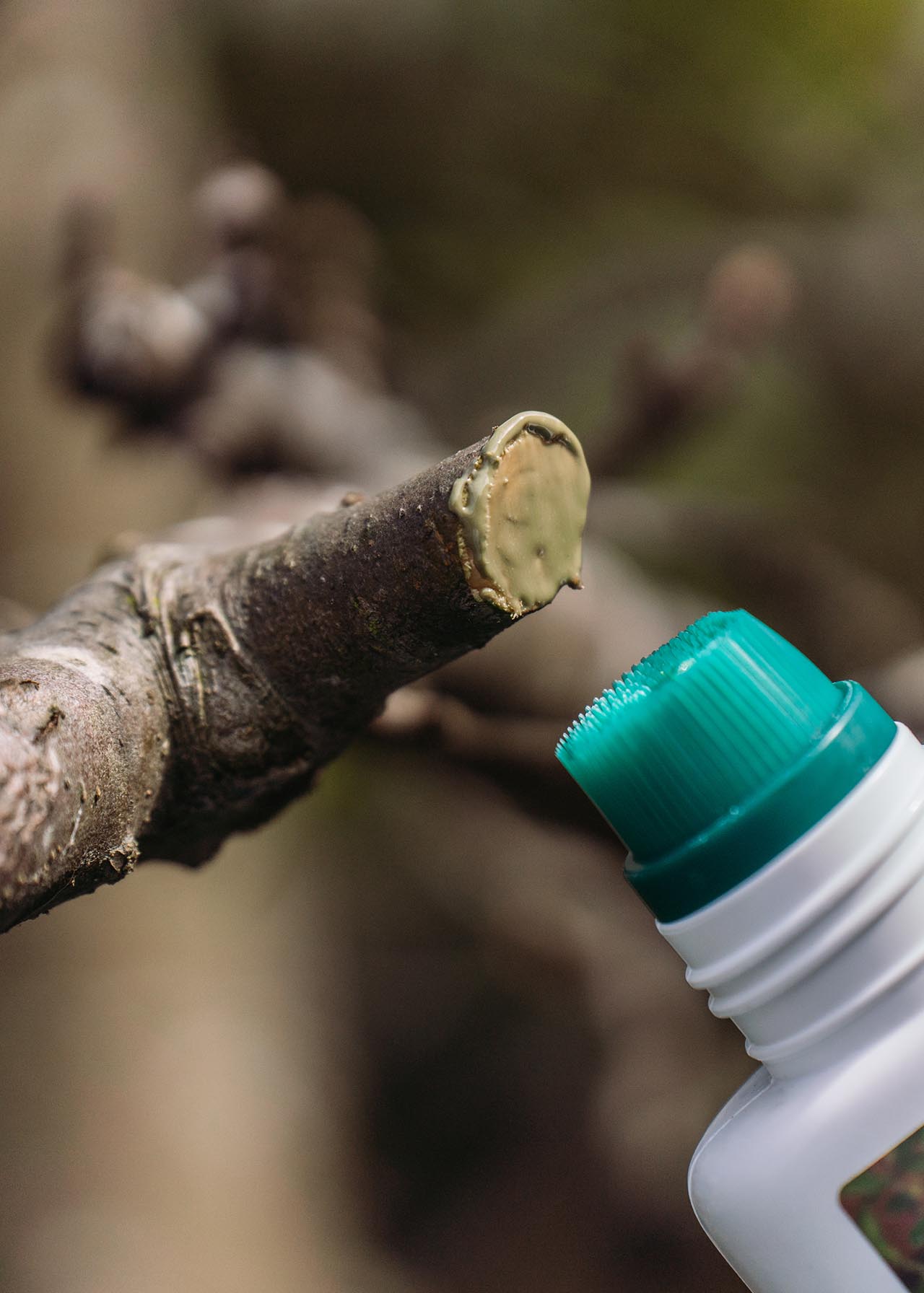 GS Prune & Seal 250ml | Dobbies Garden Centres