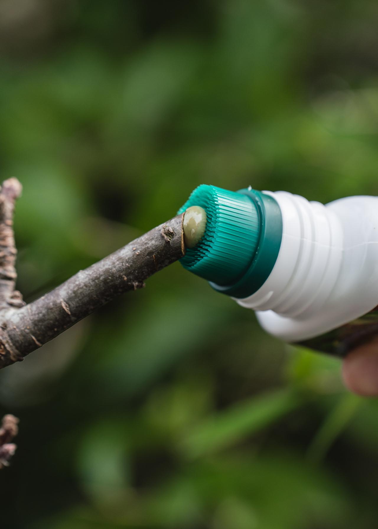 GS Prune & Seal 250ml | Dobbies Garden Centres