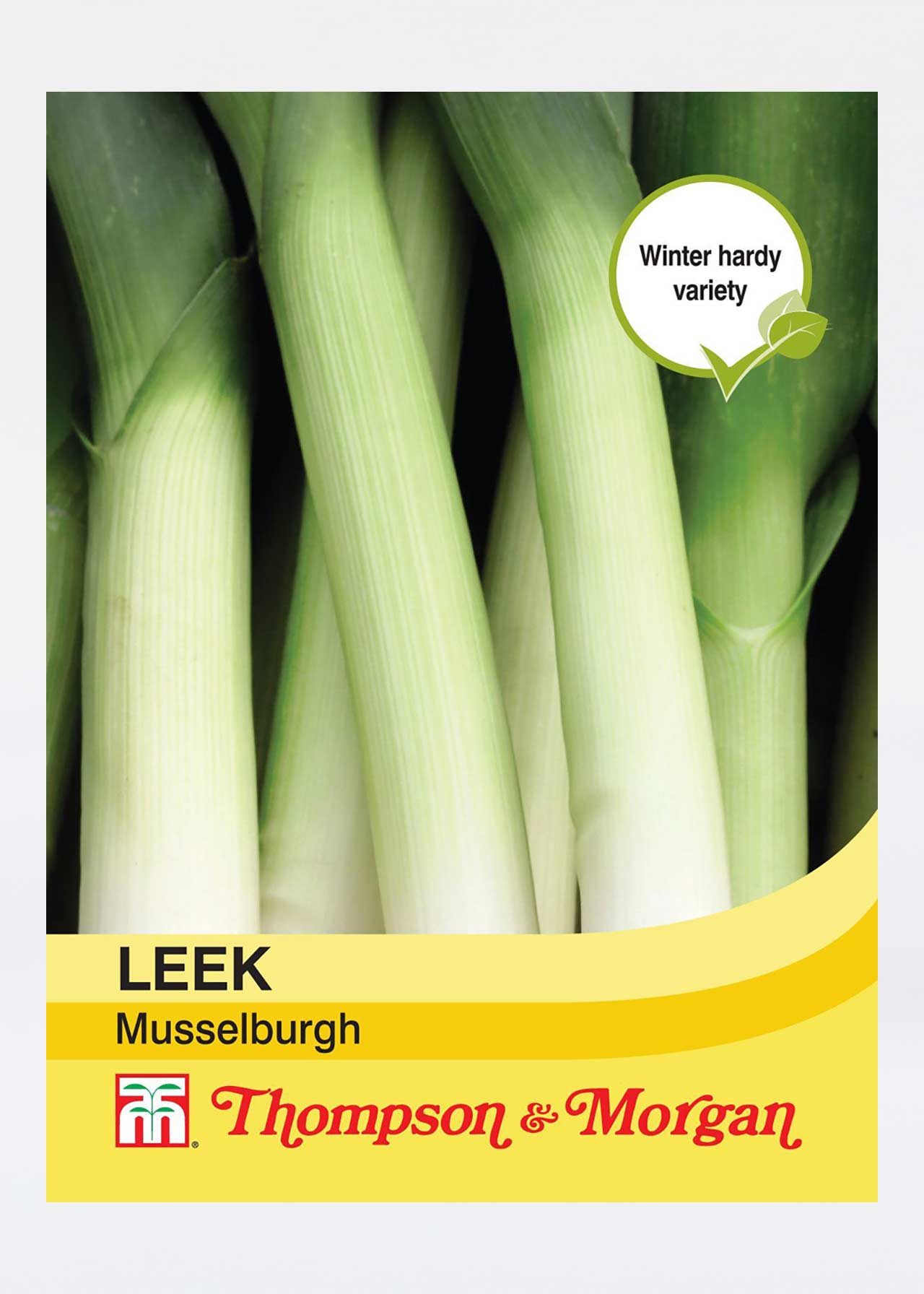 Are Leeks Good For Dogs