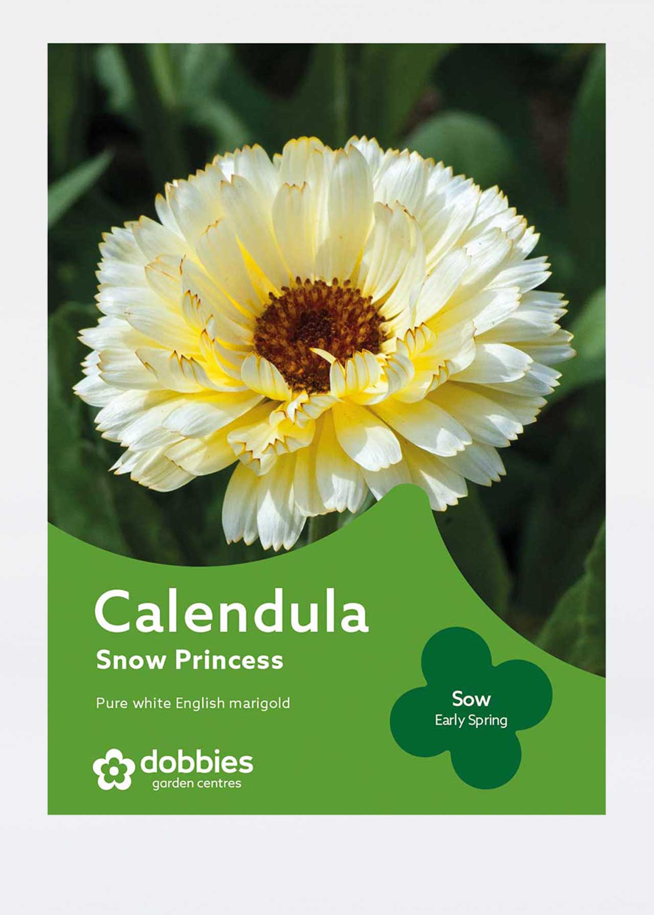 Calendula Snow Princess Seeds | Dobbies Garden Centres