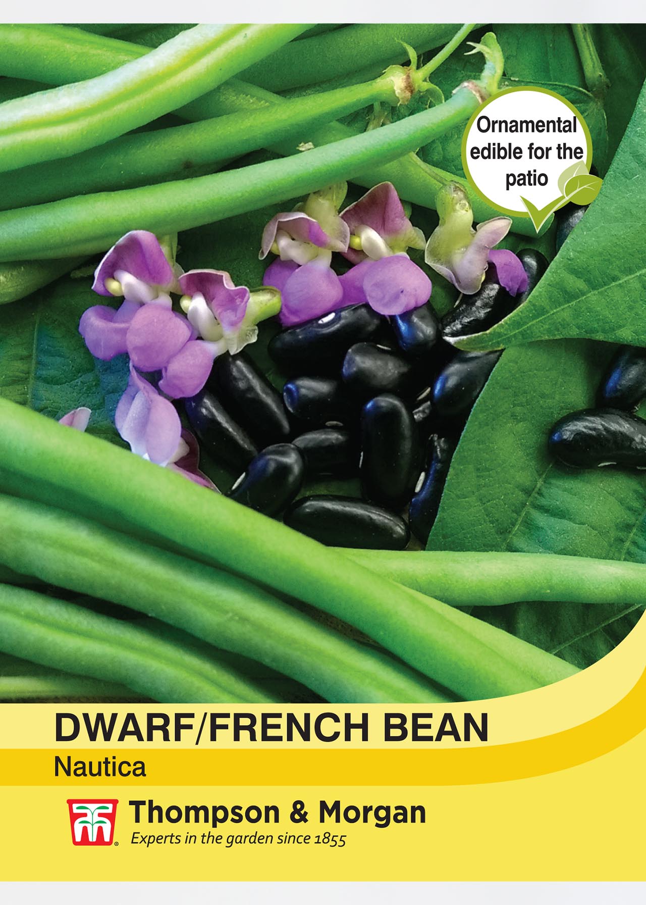 Dwarf Bean Nautica Seeds | Dobbies Garden Centres