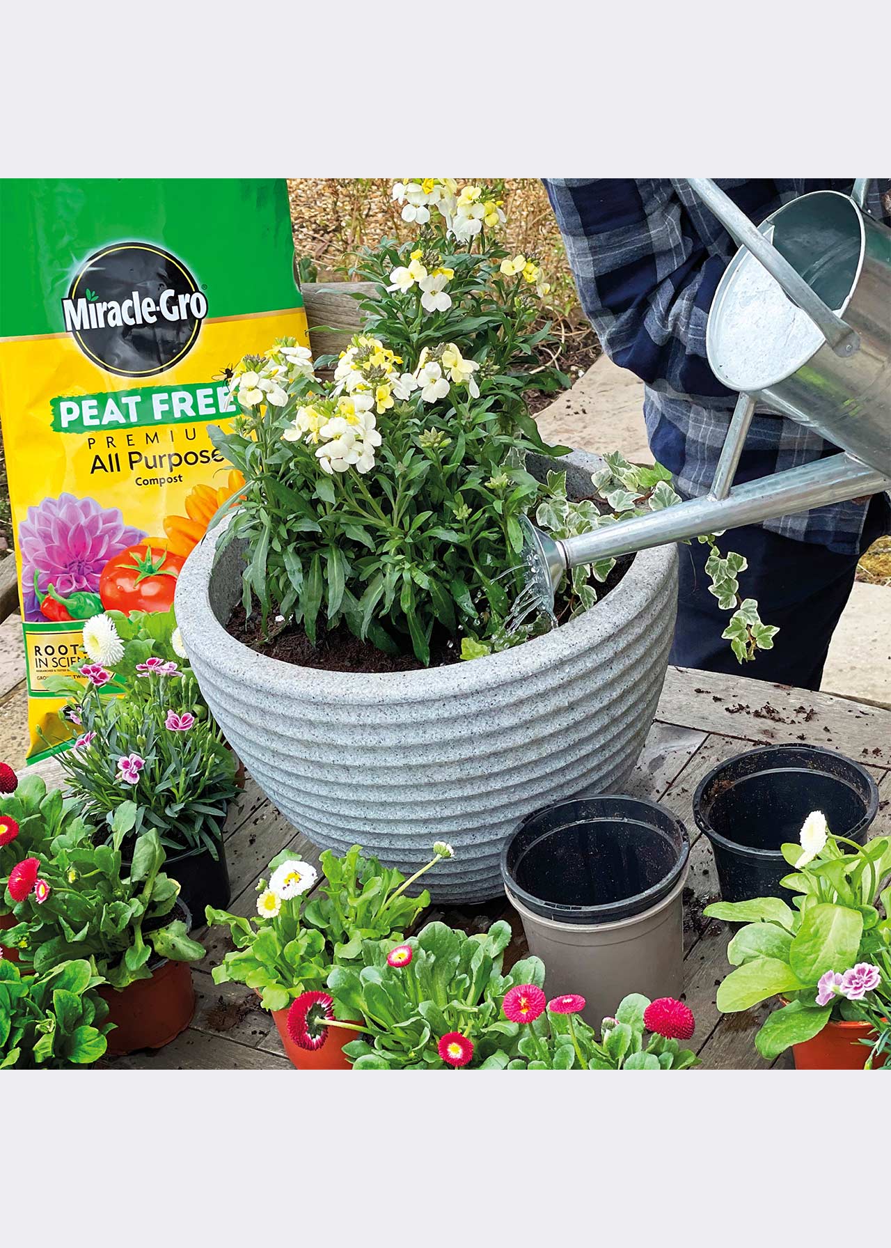 Miracle Gro All Purpose Peat Free Compost 40L | Dobbies Garden Centres