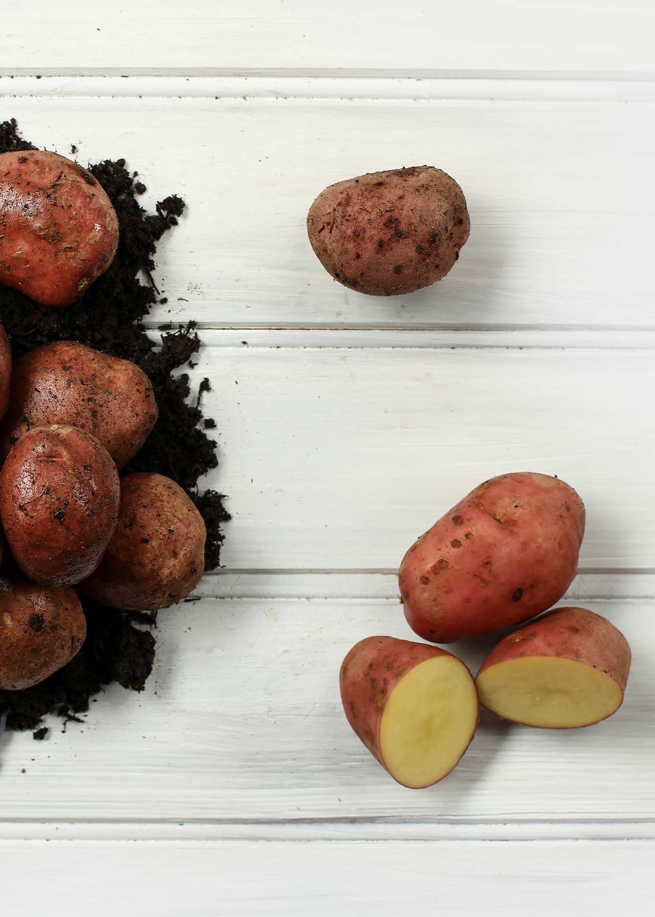 Potato Desiree pack of 8 | Dobbies Garden Centres