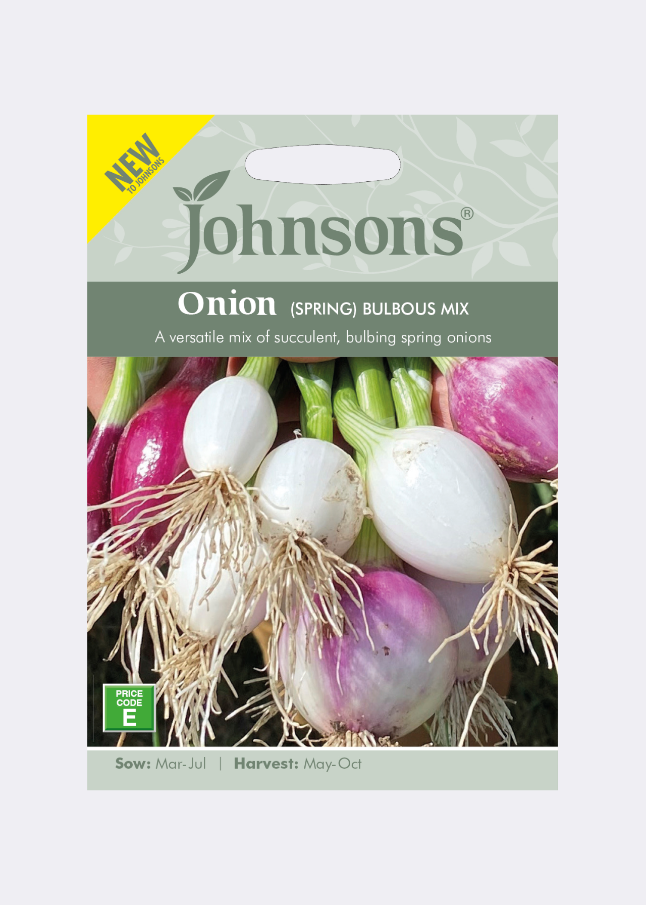 Onion (Spring) Bulbous Mix Seeds | Dobbies Garden Centres