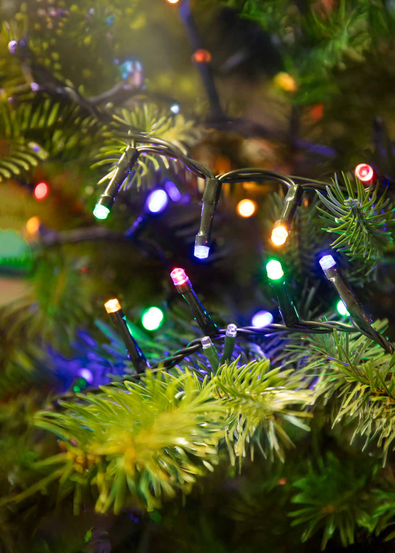 200 Multicoloured Multi Function String Lights | Dobbies Garden Centres