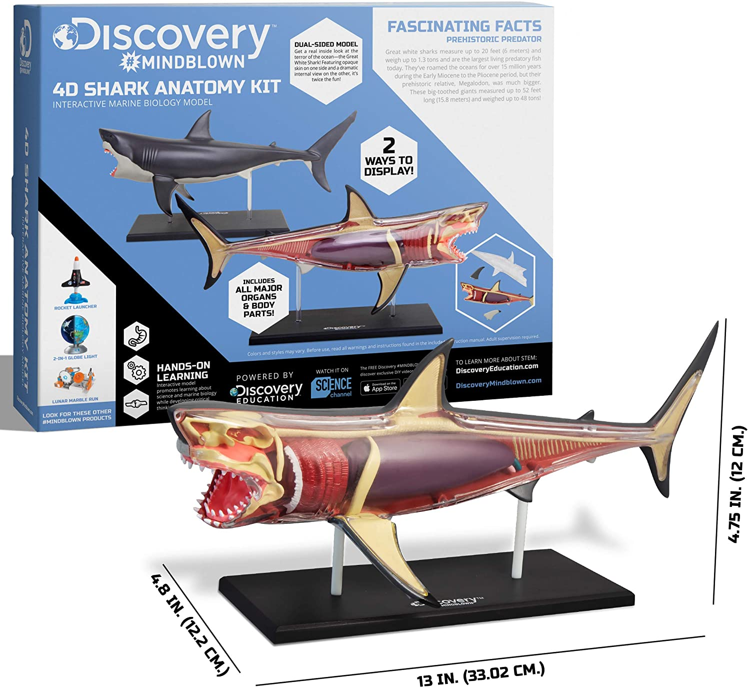 15 Ton Prehistoric Shark Found